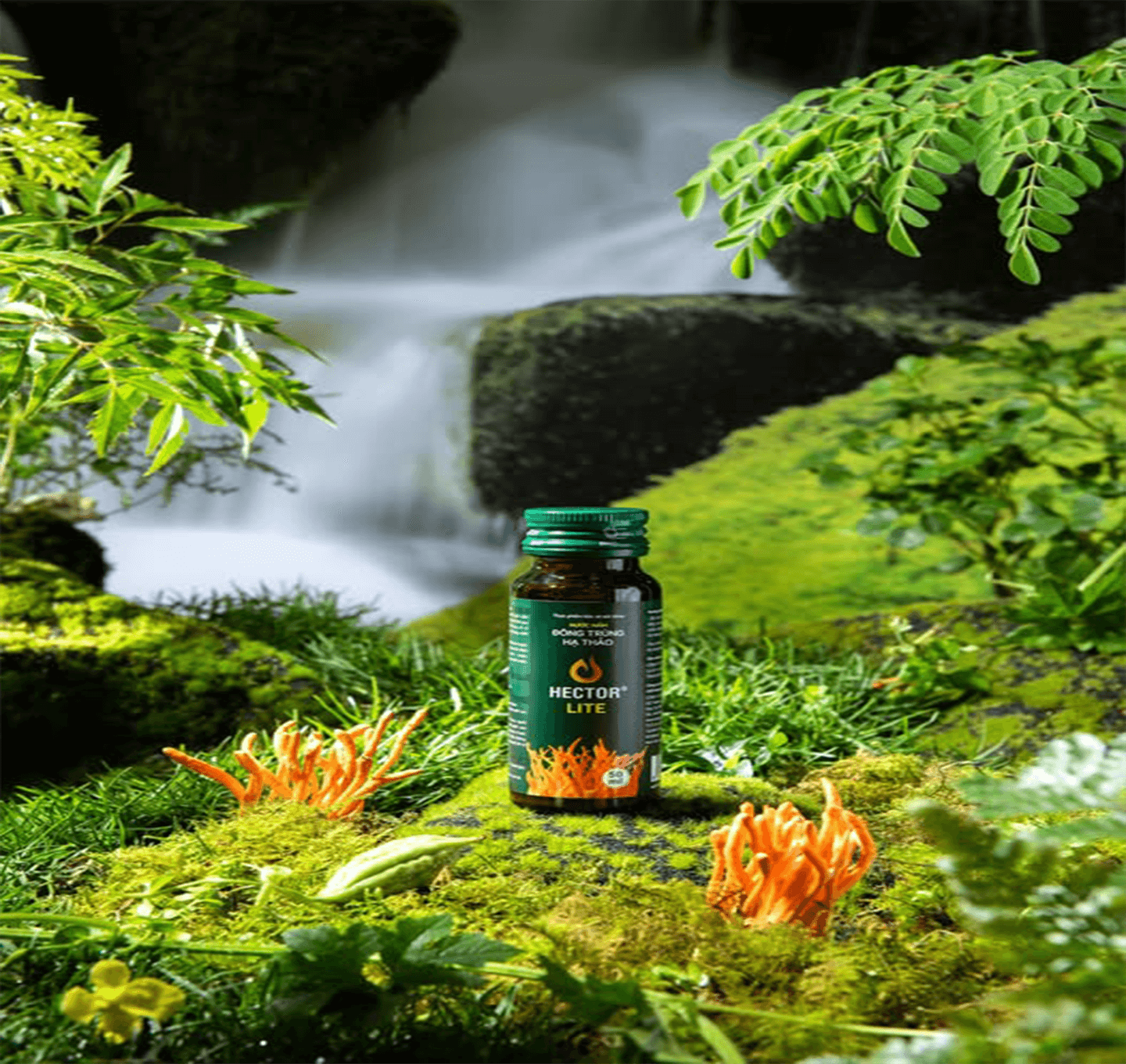 Hector Natural - Hector Natural